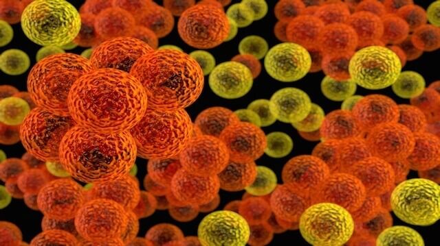 14 Affordable Ways to Promote Good Bacteria