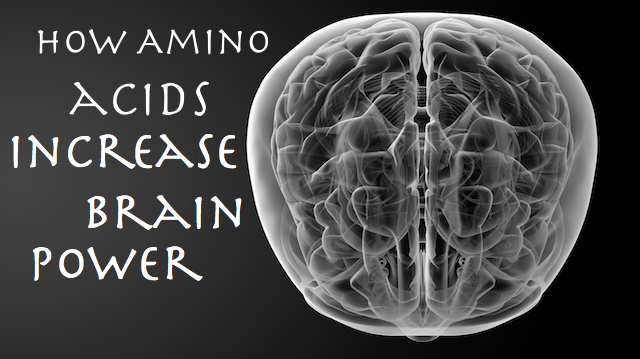How Amino Acids in Foods Increase Brain Power