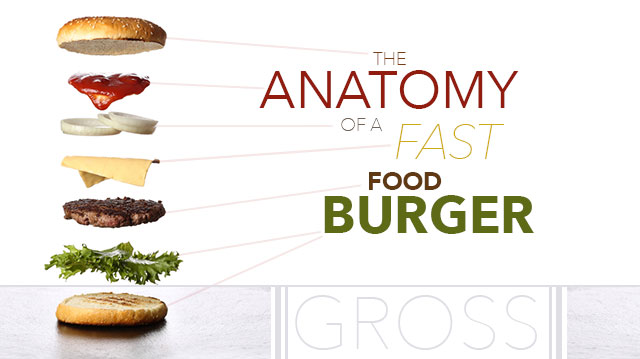 The Anatomy Of A Fast Food Burger — Gross