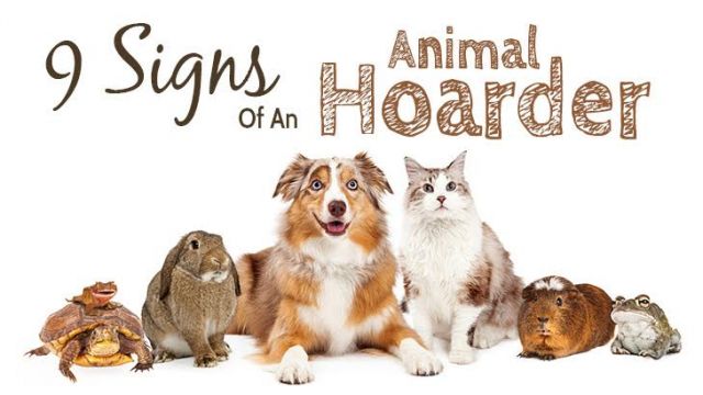 9 Signs Of An Animal Hoarder