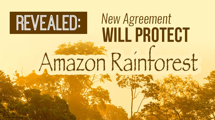 Revealed: New Agreement Will Protect Amazon Rainforest