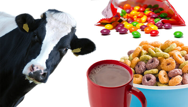 The Shocking Truth Behind What Cows Really Eat