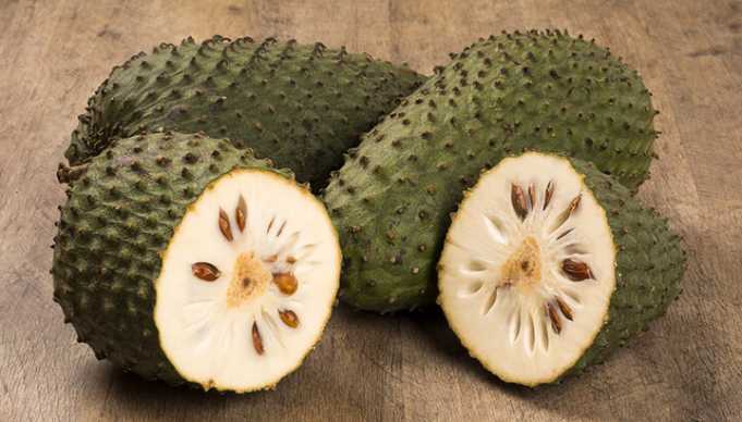 Can The Graviola Fruit Treat Cancer?
