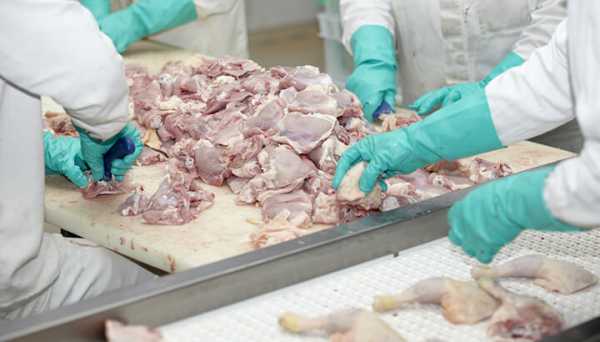 How Dangerous Is Mechanically Separated Poultry? How Dangerous Is Mechanically Separated Poultry?